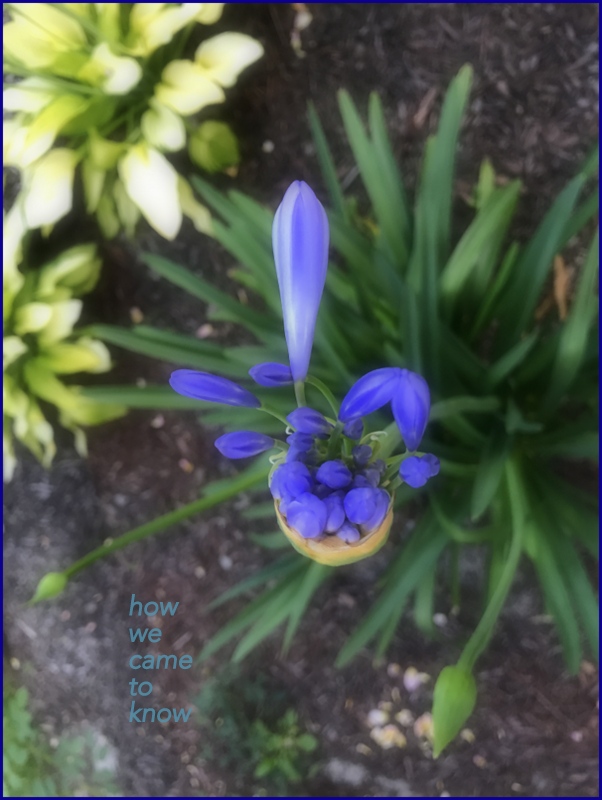 how to emerge – Make Believe Boutique