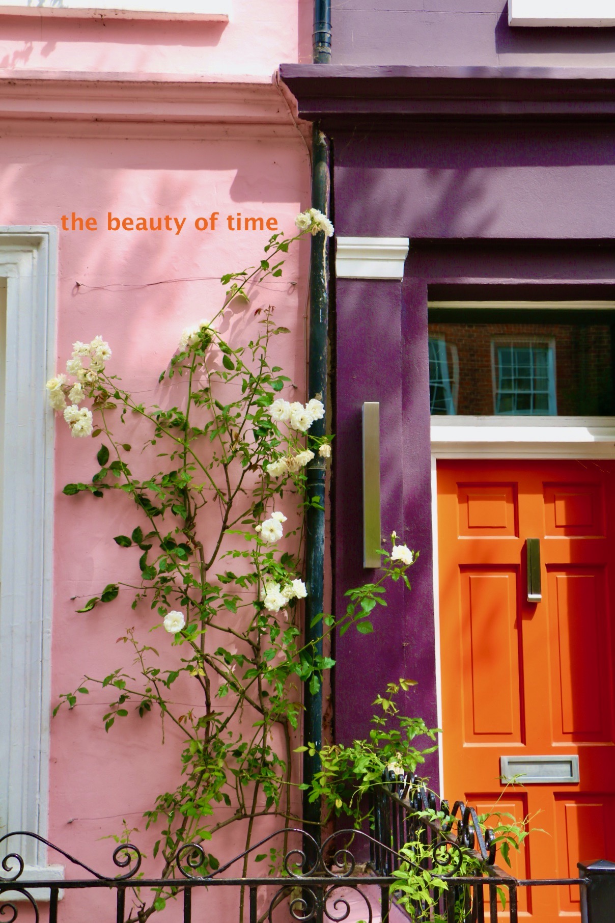 awkward beauty – Make Believe Boutique