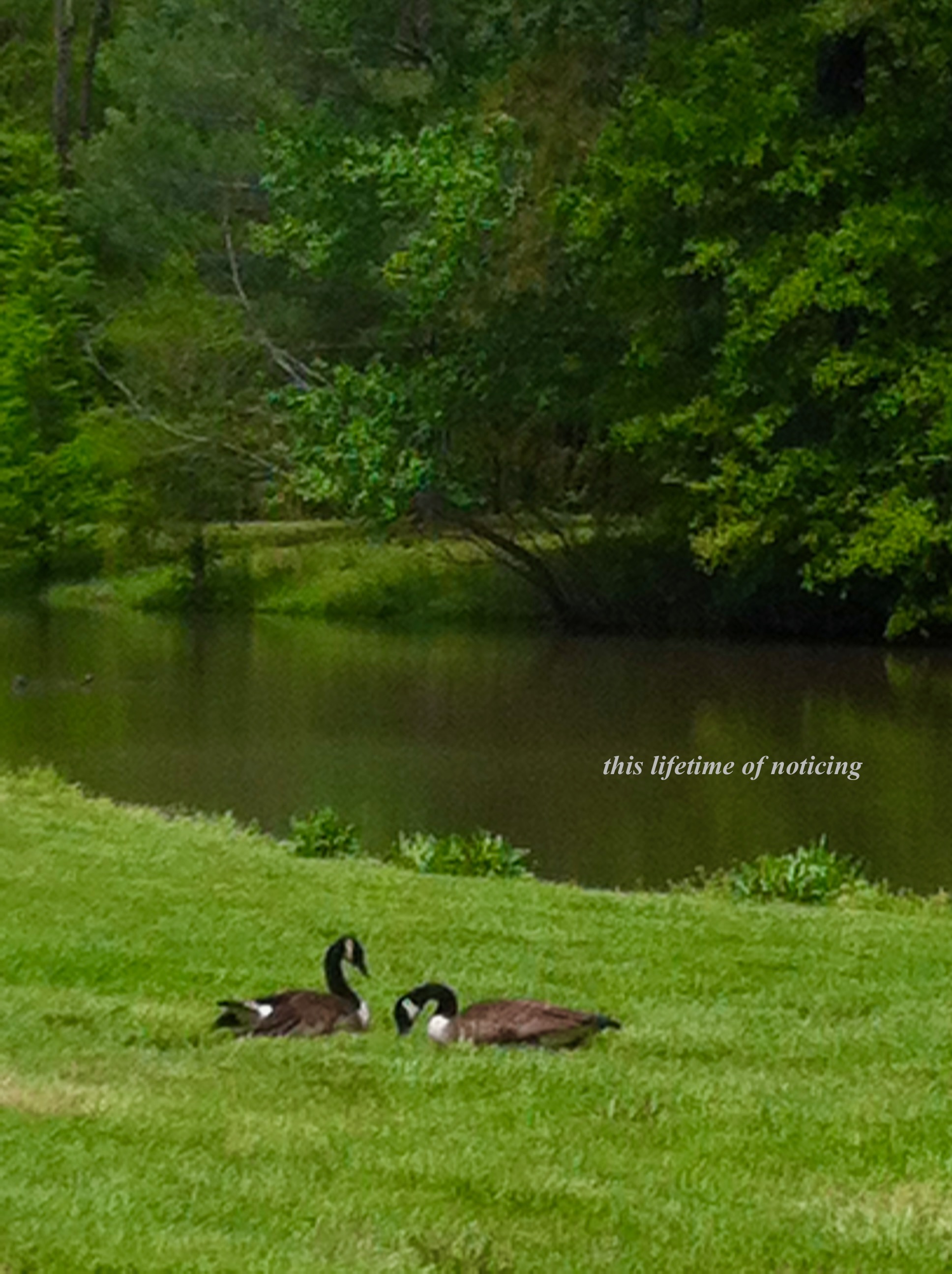 feeling cared for – Make Believe Boutique